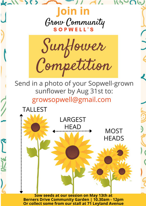 Sunflower Competition – last entries today! – Grow Community – Sopwell