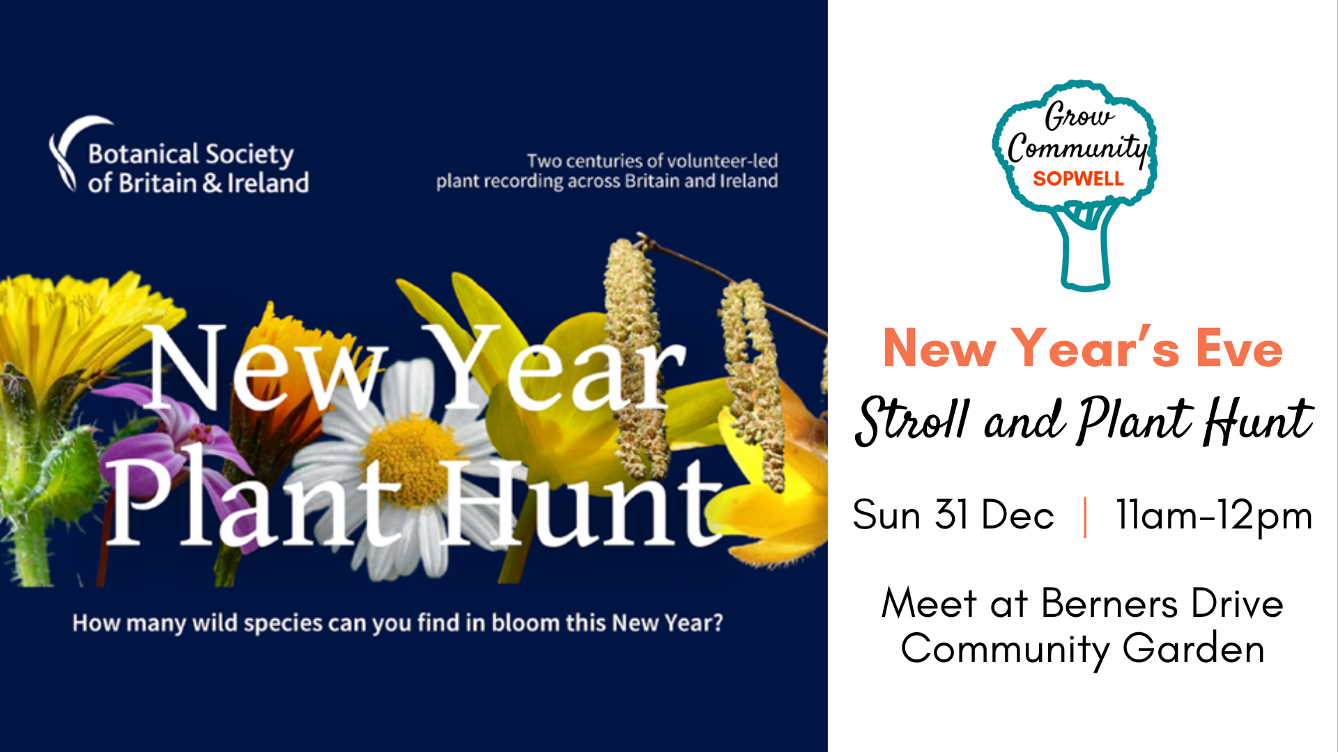 New Year’s Eve: Morning Stroll and Plant Hunt – Grow Community – Sopwell